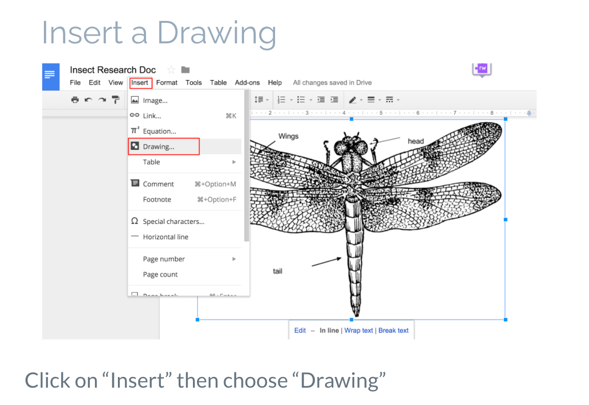 2. To insert an image, click the “Insert” option and select “Drawing ...